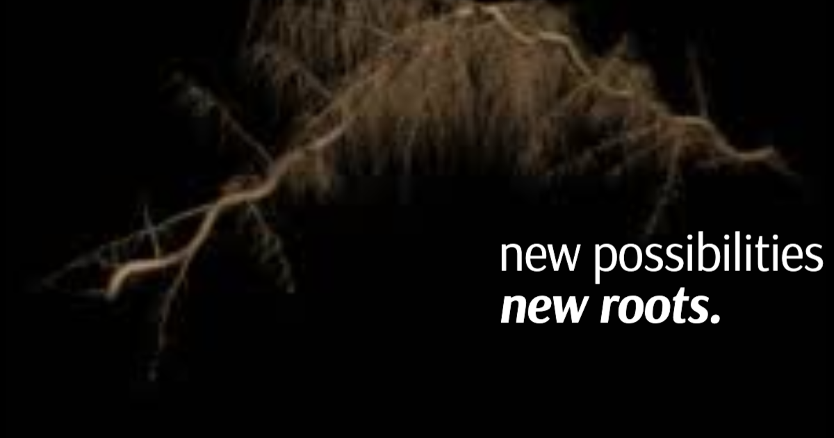 New Roots Marketing and Web Design